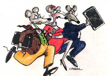 Why the Engineering Rat Race? - InsideIIM